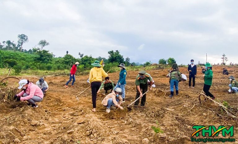 Các biện pháp cải tạo đất hiệu quả cho nhà nông làm giàu