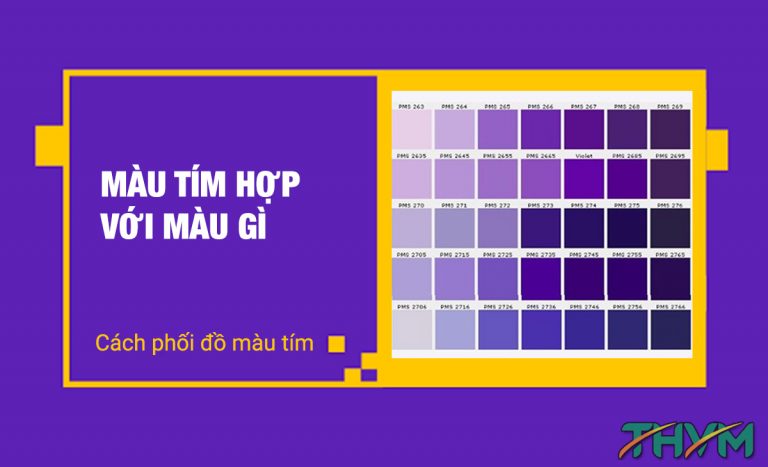 Màu Tím hợp với màu gì? Cách phối đồ đẹp nổi bật và chất